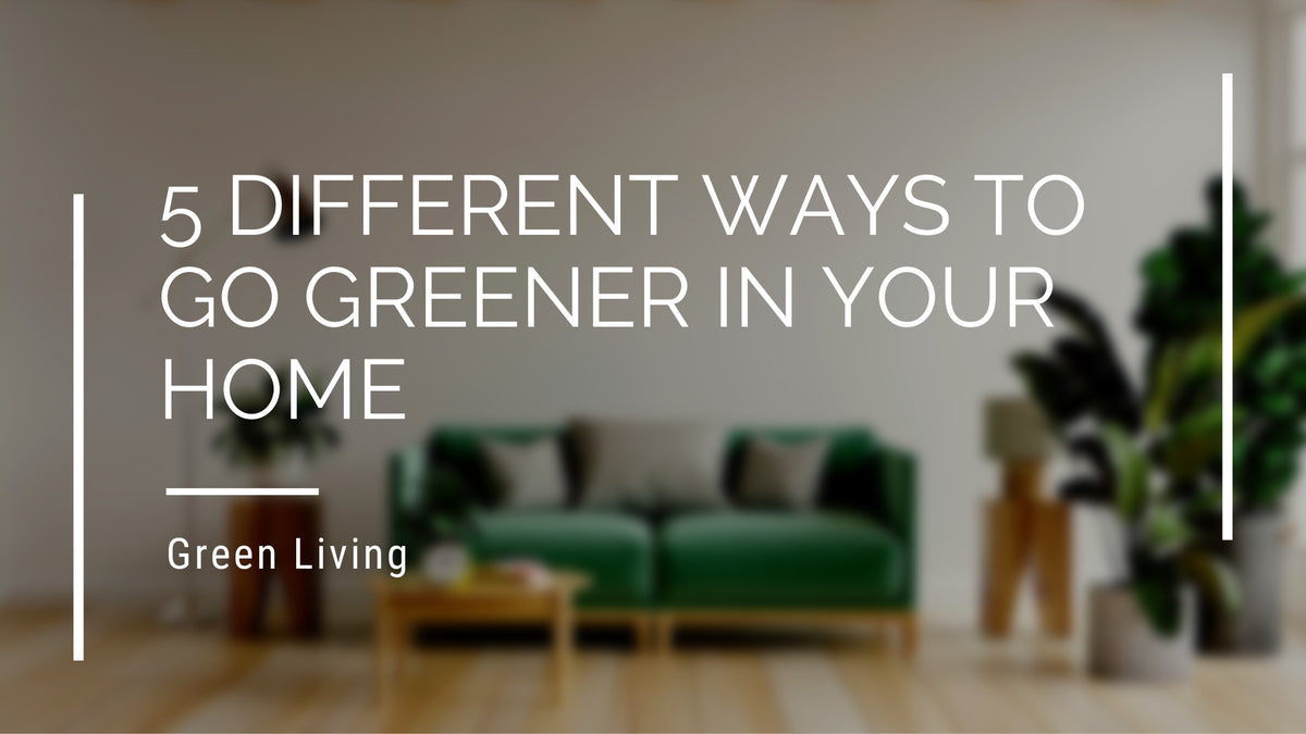 5 Different Ways To Go Greener In Your Home | Eco Bravo