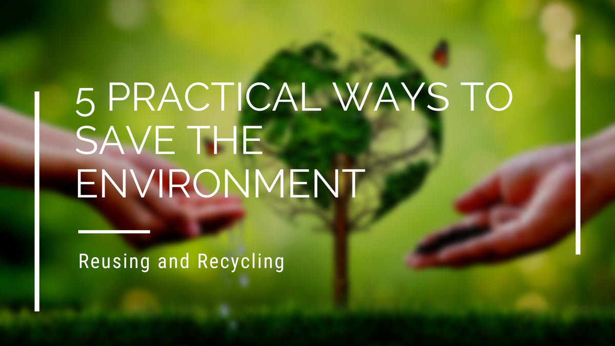 5 Practical Ways To Save The Environment | eco bravo – Eco Bravo