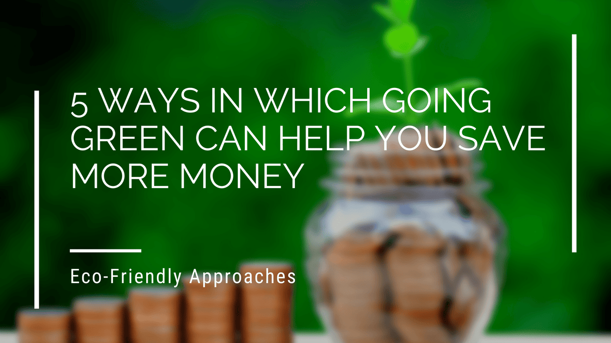 5 Ways In Which Going Green Can Help You Save More Money – Eco Bravo