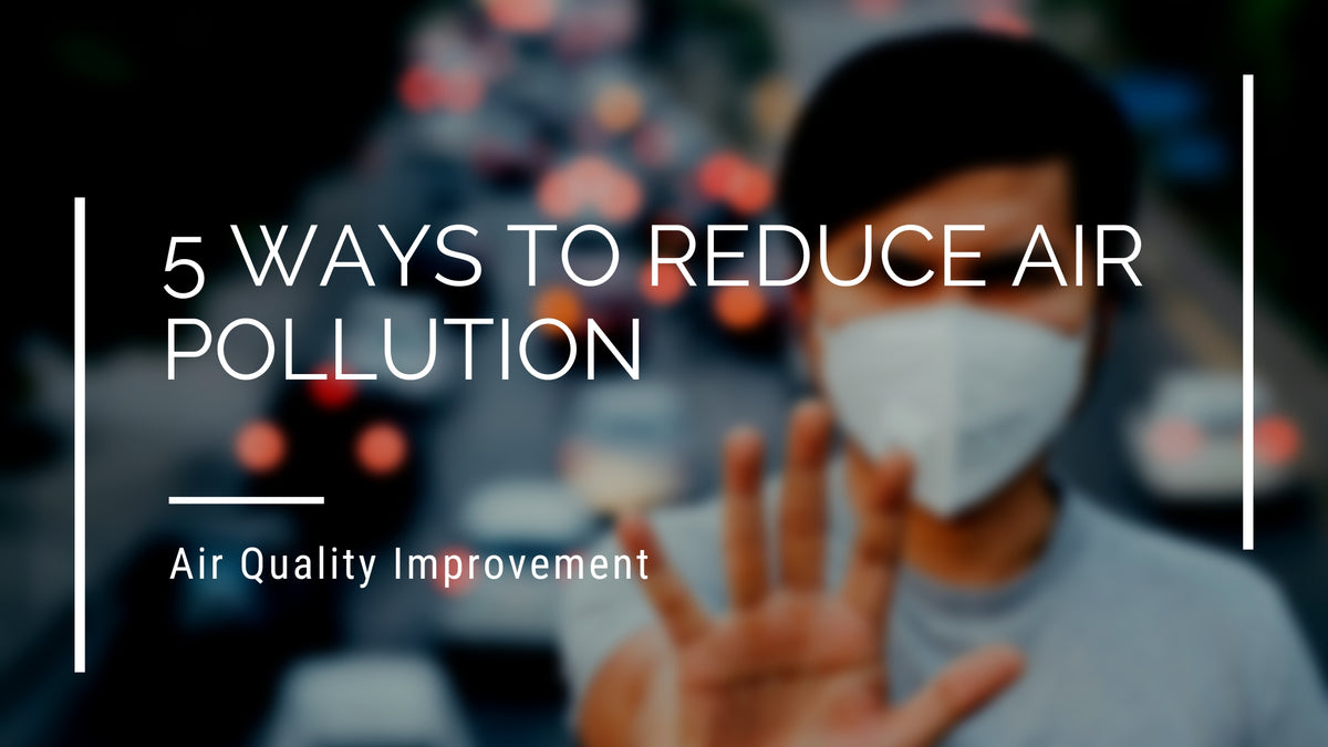 5 Ways To Reduce Air Pollution | Eco Bravo
