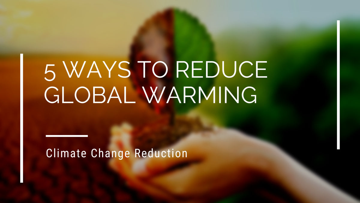 5 Ways To Reduce Global Warming | Eco Bravo
