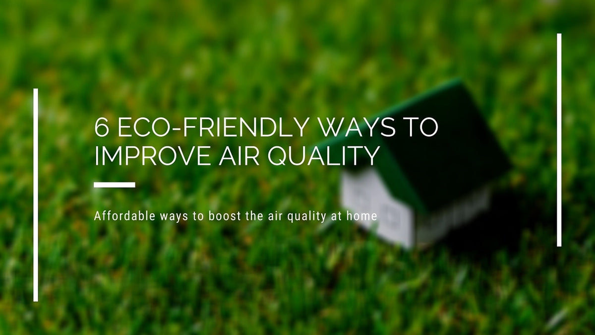 6 Eco-Friendly Ways to Improve Air Quality | Eco Bravo