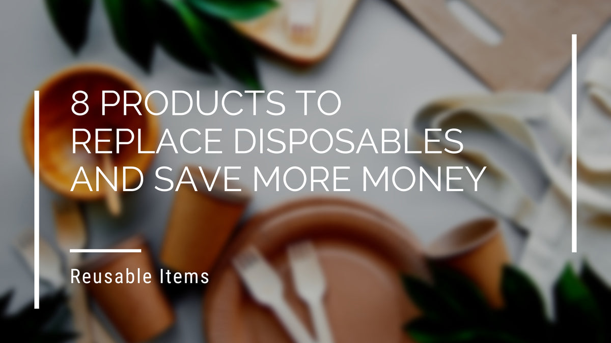8 Products To Replace Disposables And Save More Money | Eco Bravo
