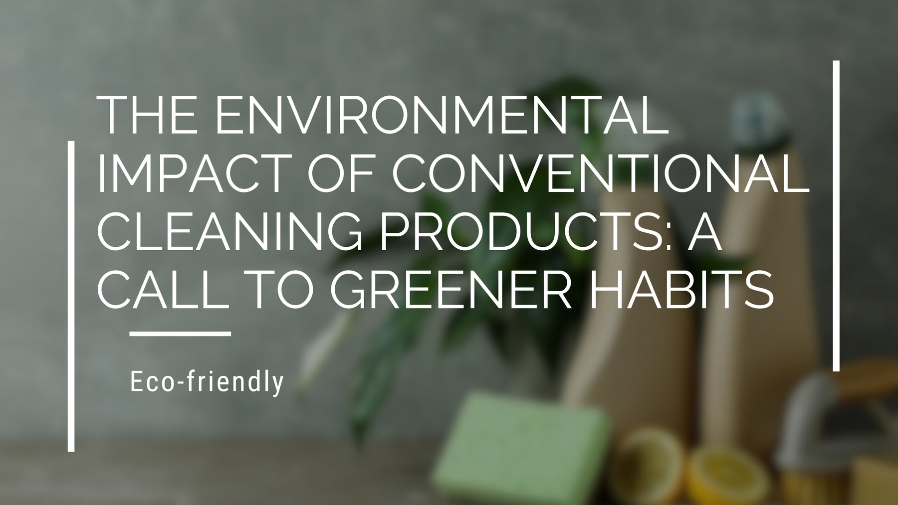 Minimising Environmental Impact of Cleaning Products – Eco Bravo