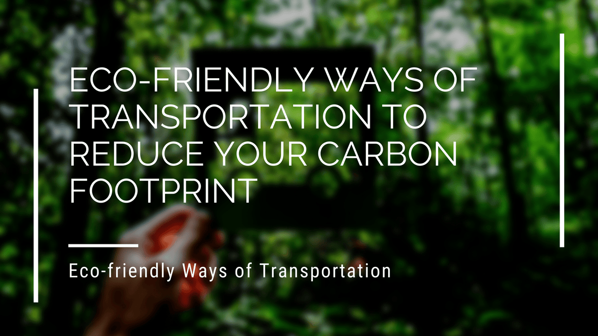Eco-friendly Ways of Transportation to Reduce Your Carbon Footprint ...