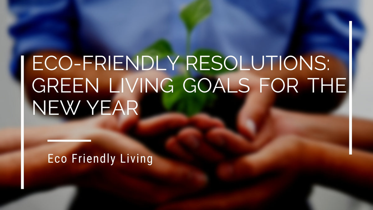 Green Living Goals for 2024: Eco-Friendly New Year Resolutions – Eco Bravo
