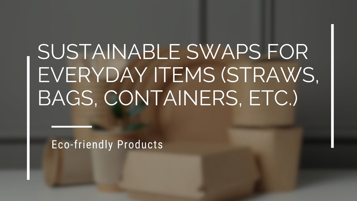 Sustainable Swaps for Everyday Items – Eco Bravo