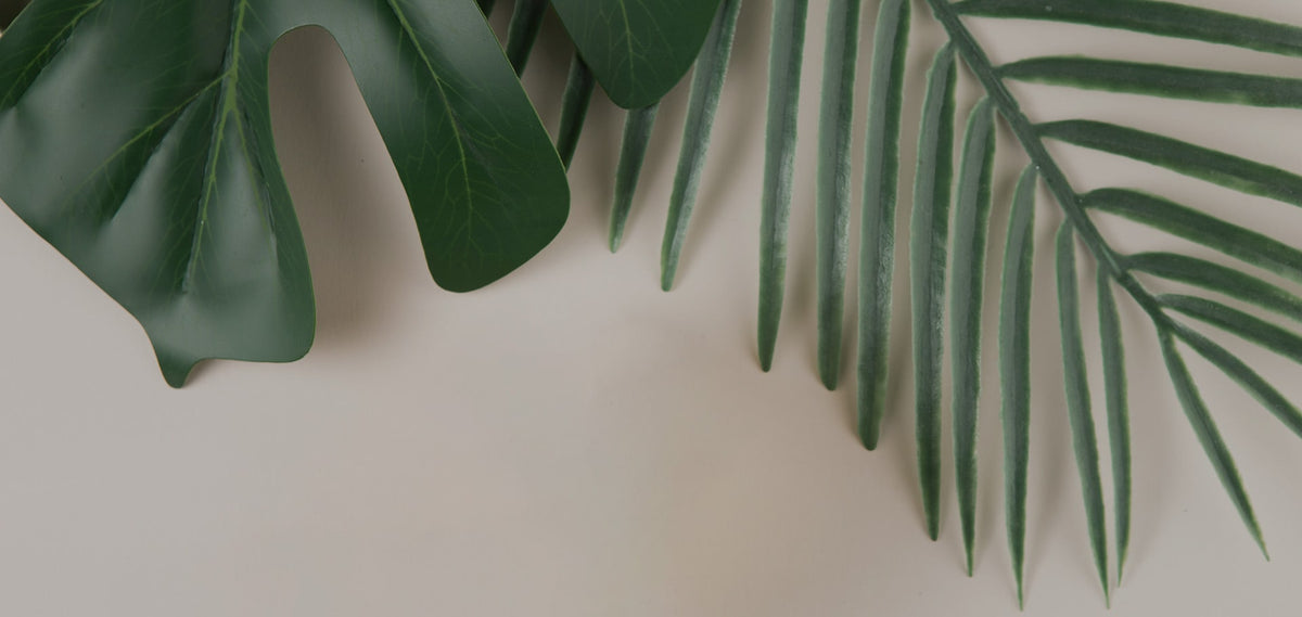 New Releases | Eco Bravo UK